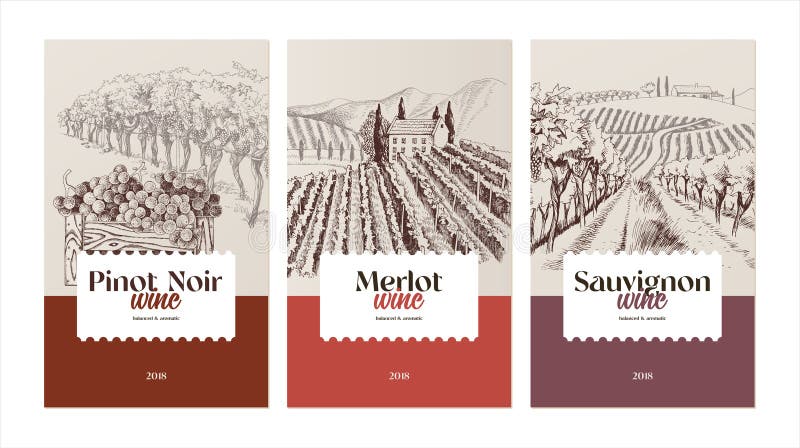 Hand Drawn Wine Labels Design Templates Stock Vector - Illustration of ...