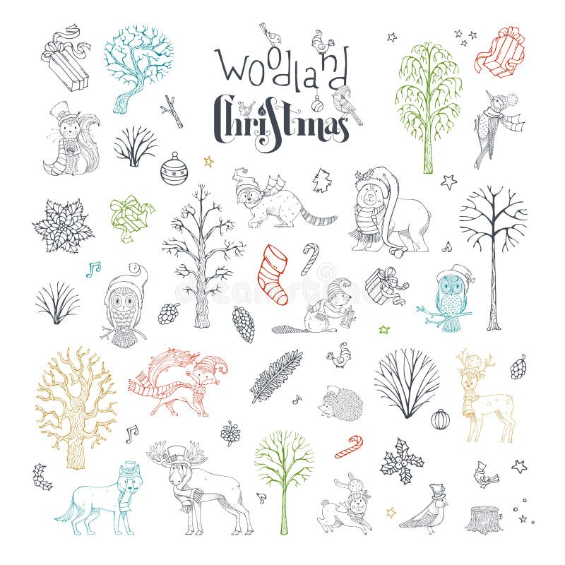 Vector Doodles Woodland Seamless Pattern. Stock Vector - Illustration ... Vector Doodles Woodland Seamless Pattern. Stock Vector - Illustration ...