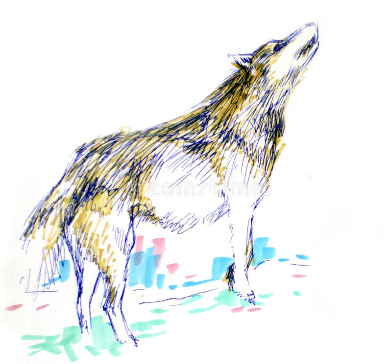Hand drawn wolf stock illustration. Illustration of bite - 31048257