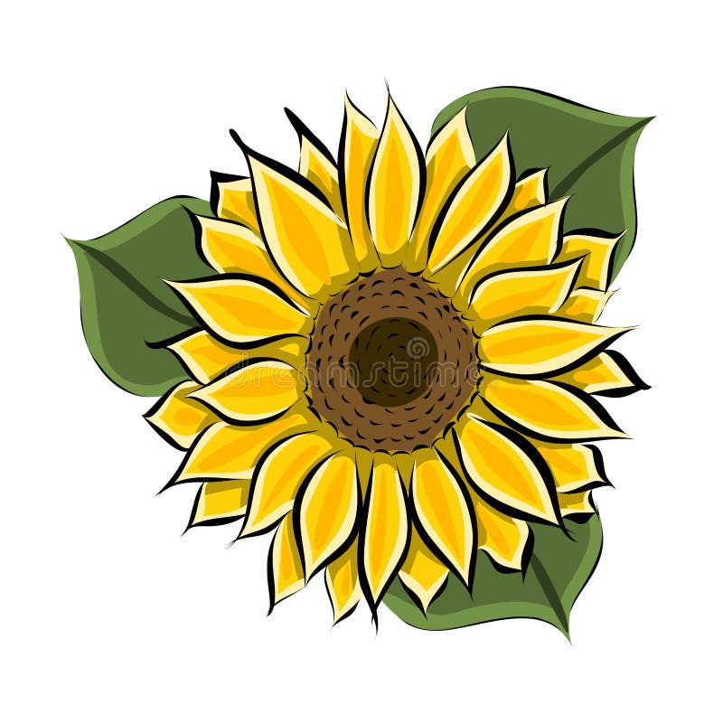 Hand Drawn Yellow Sunflower Stock Vector - Illustration of yellow ...