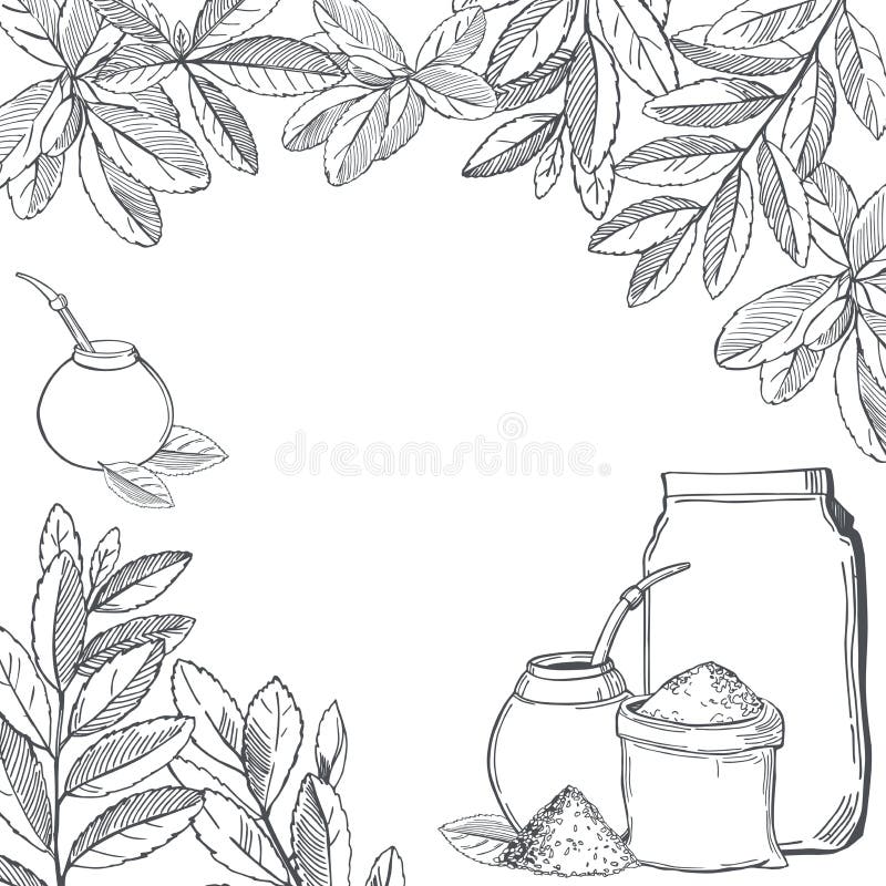 Sketch yerba mate set stock vector. Illustration of brazil - 233772131