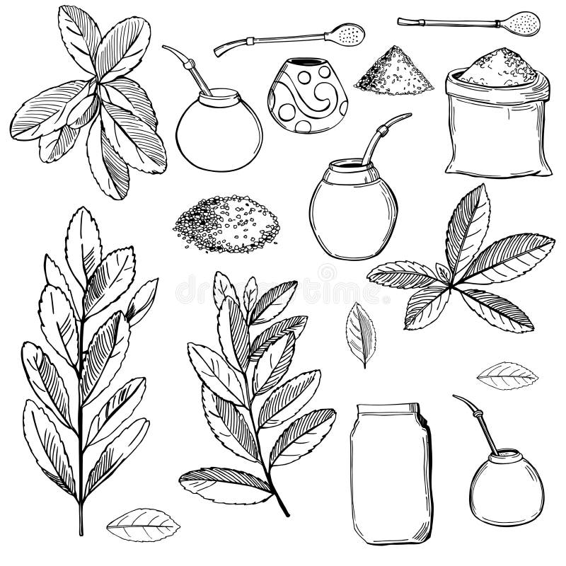 Sketch yerba mate set stock vector. Illustration of brazil - 233772131