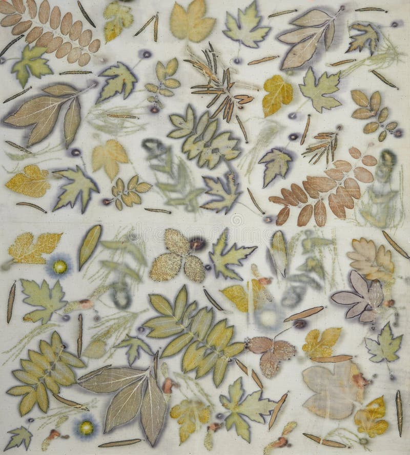 Hand-dyed Fabric Strip Using Eco-print Technique Stock Image - Image of ...