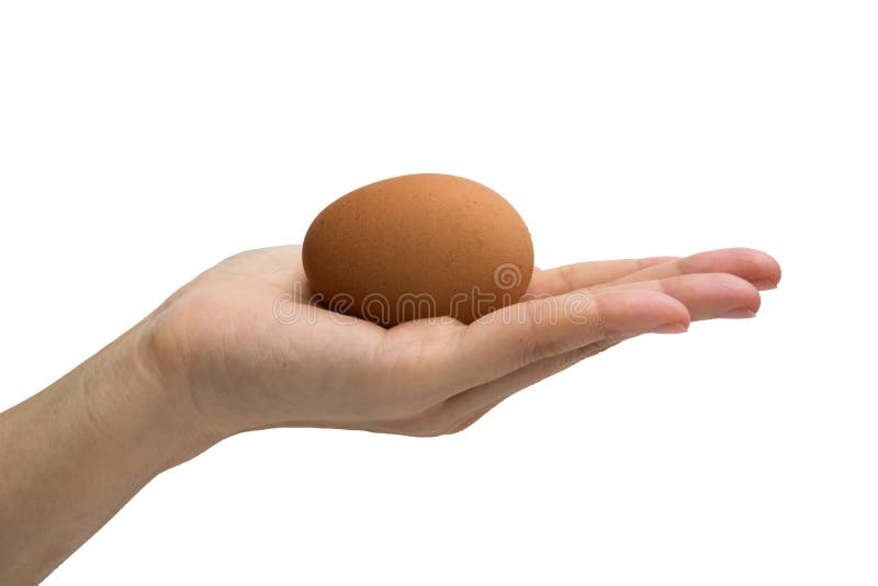 Hand eggs stock image. Image of background, gently, hand - 39920805