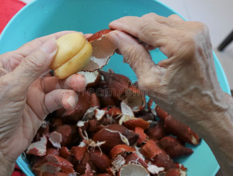 Hand of the Elderly through Hard Work Being Peeled Fruit in Thailand ...