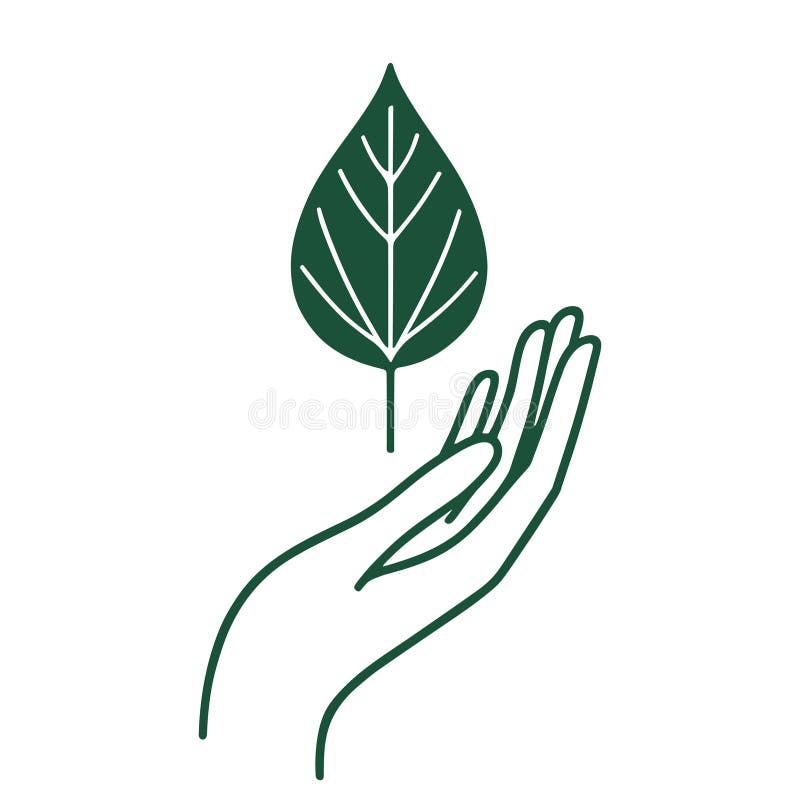Hand Embracing Leaf Icon Isolated. Hand Protecting a Leaf Stock Vector ...
