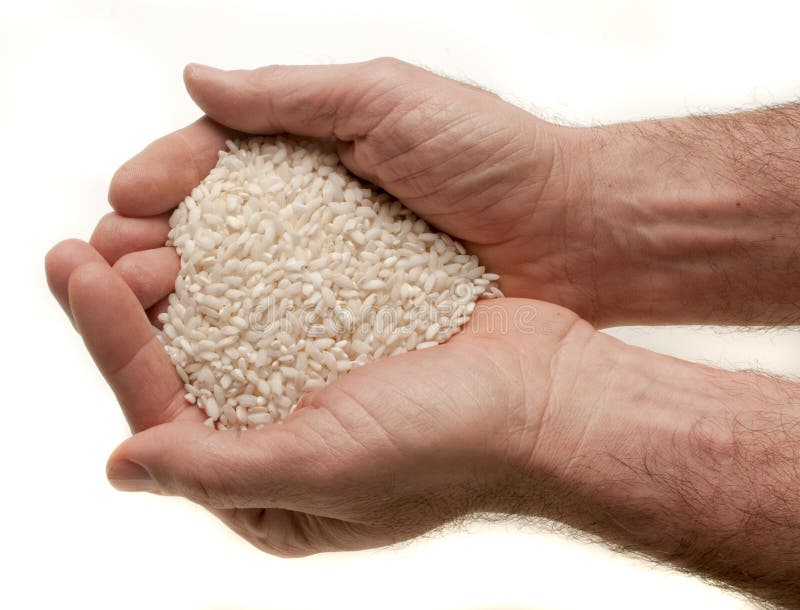 Twee handen met rijst stock afbeelding. Image of mannetje - 30371761