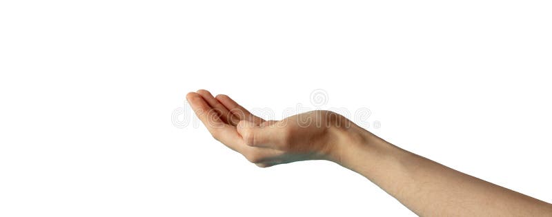 158 Extended Hand Palm Up Stock Photos - Free & Royalty-Free Stock ...