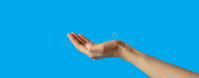135 Extended Hand Palm Up Photos - Free & Royalty-Free Stock Photos ...