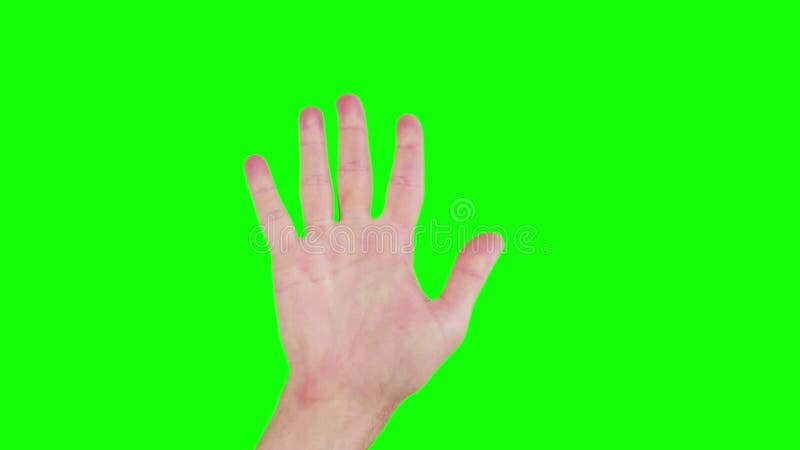 Hand facing palm down stock video. Video of screen, definition - 51068209