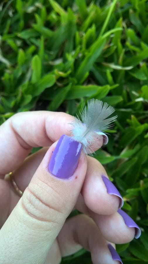 Hand with feather stock photo. Image of large, details - 95983550
