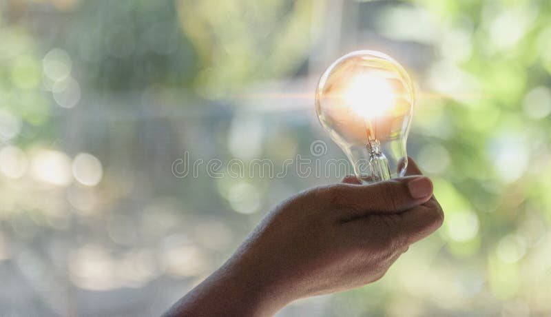 Hand of Female Holding a Light Bulb Stock Image - Image of creative ...