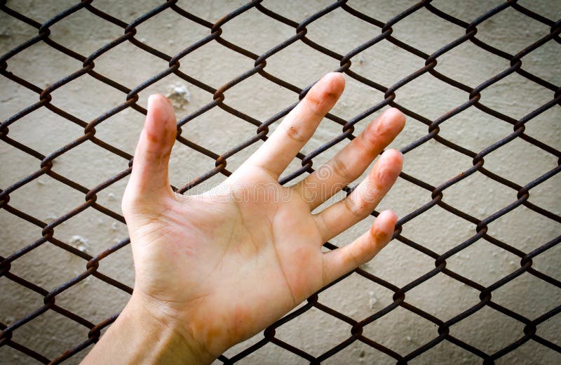 Hand on fence stock photo. Image of fence, barrier, hand - 61632670