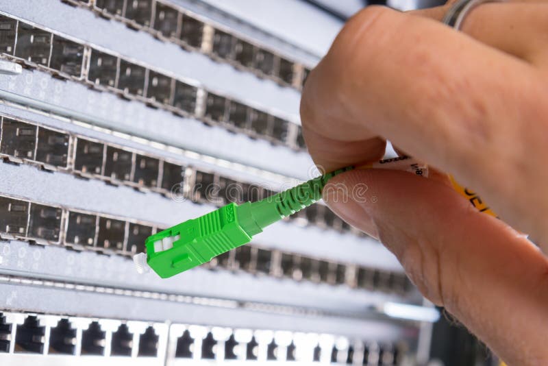 Hand with Fiber Optic Cable Stock Image - Image of links, networking ...