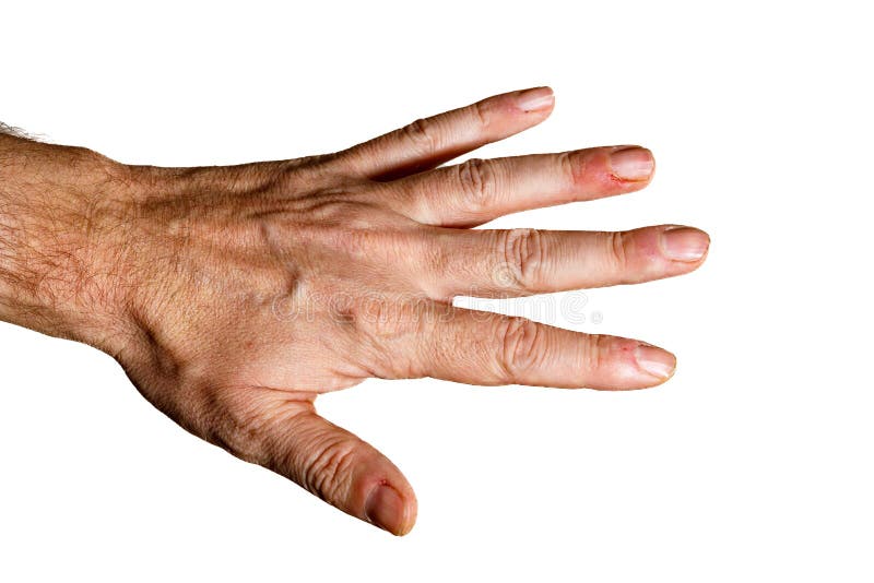 Hand with 5 finger stock image. Image of concept, communication - 236005991