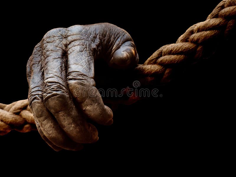 Hand, Finger, Close Up, Human Stock Photo - Image of organism, rope ...