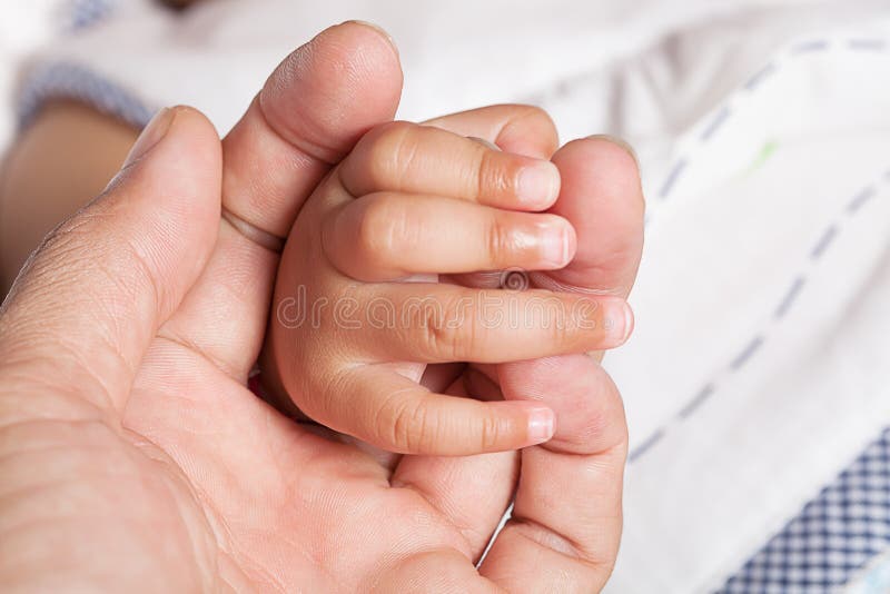 Baby Leg 7 Months by Mosquito Bites. Stock Photo - Image of isolated ... Baby Leg 7 Months by Mosquito Bites. Stock Photo - Image of isolated ...