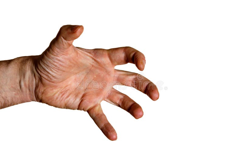 Hand with 5 finger stock photo. Image of finger, hand - 236006744