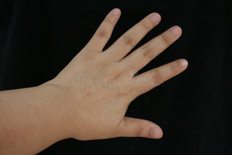 Hand and Fingers Focus with Many Style Actions Stock Image - Image of ...