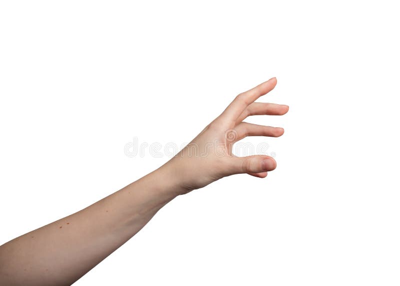 Hand, Fingers Stretching Out, Reaching To Something, Isolated on White ...