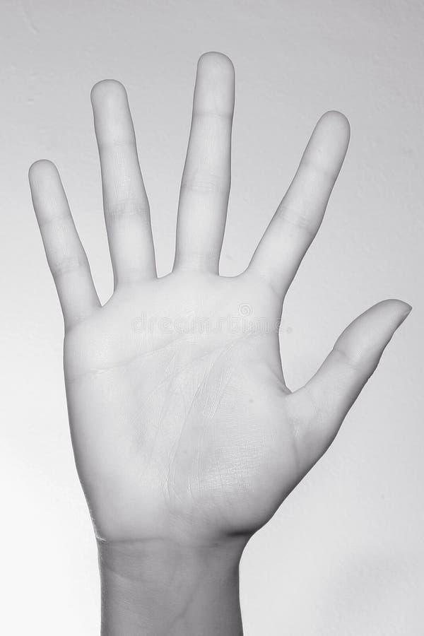 Hand: Five stock photo. Image of forecasting, five, handing - 9177024