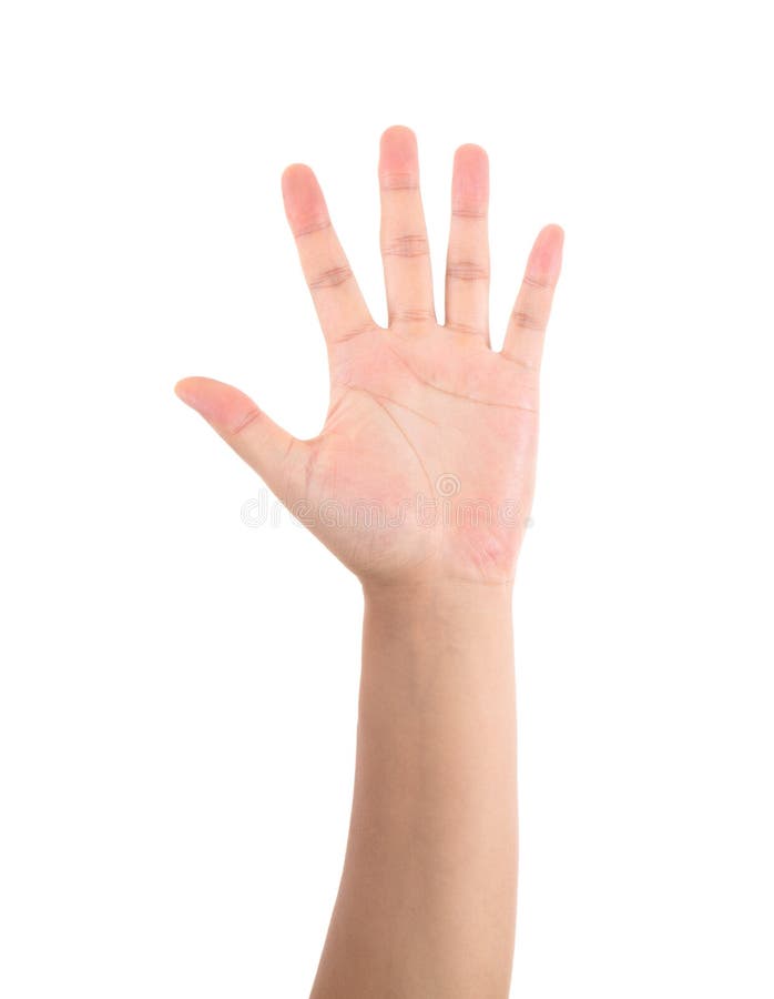 The Hand with Five Fingers Spread Out the Back of the Hand Facing the ...