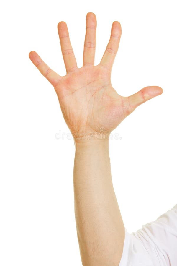 Five fingers of a hand stock image. Image of caucasian - 20595463