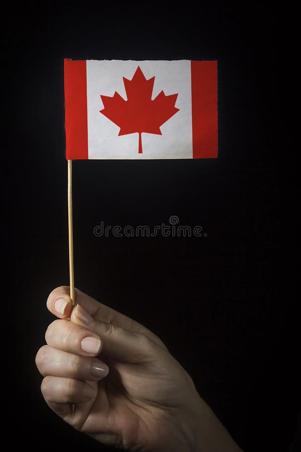 Hand with flag of Canada stock image. Image of hand - 163139261