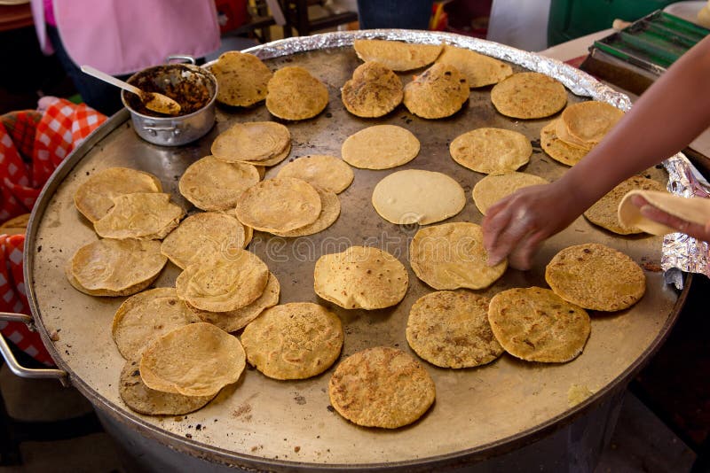 Hand flipping tortillas stock photo. Image of flour, hand - 44293088