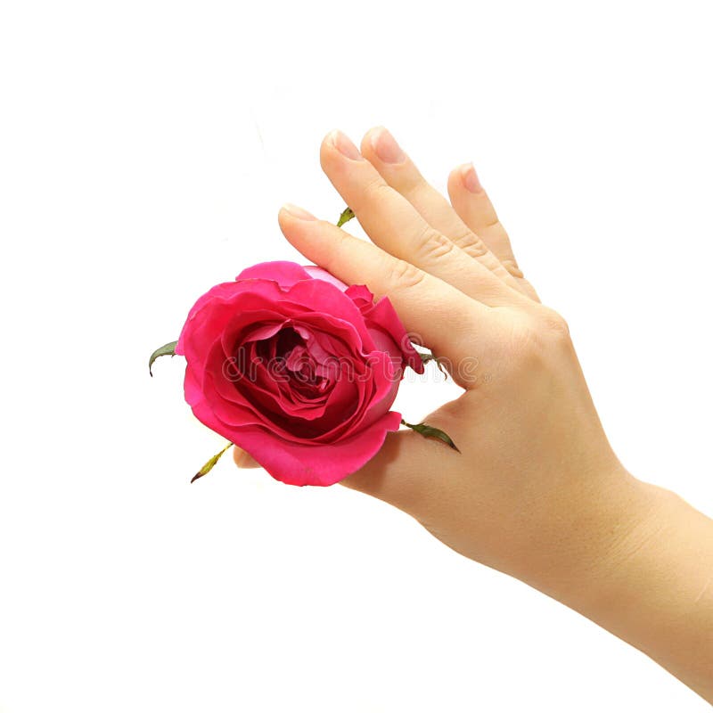 Hand with flower stock image. Image of accessories, finger - 12363951