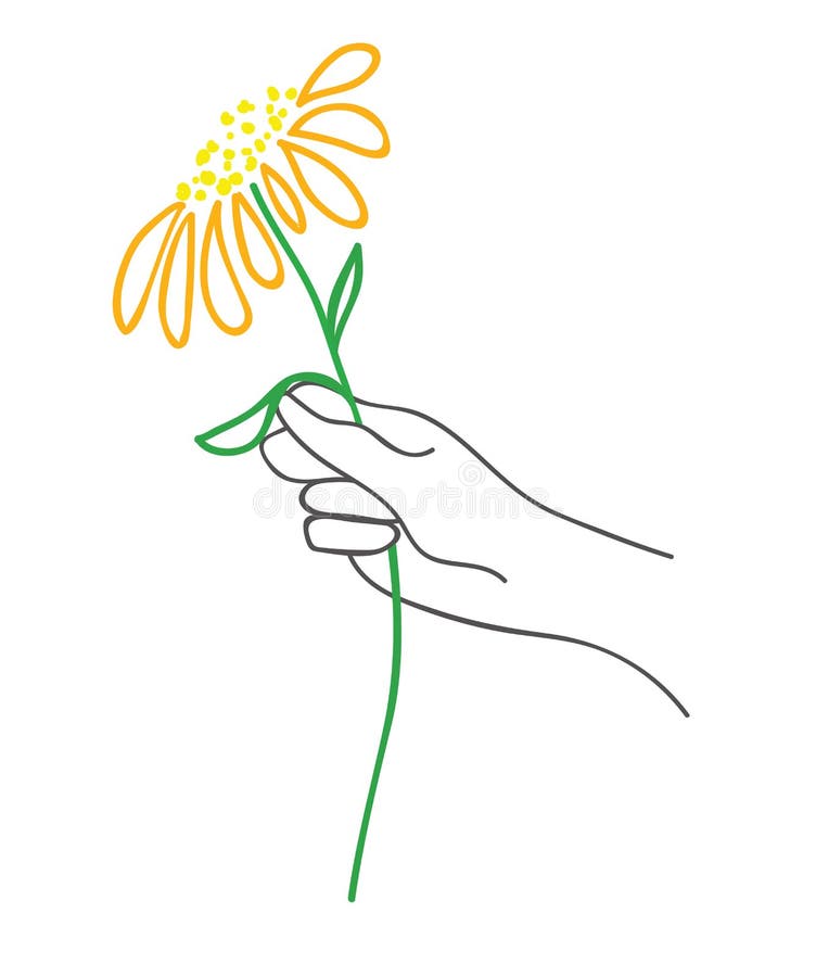 Hand with Flower. Vector Illustration. Stock Vector - Illustration of ...