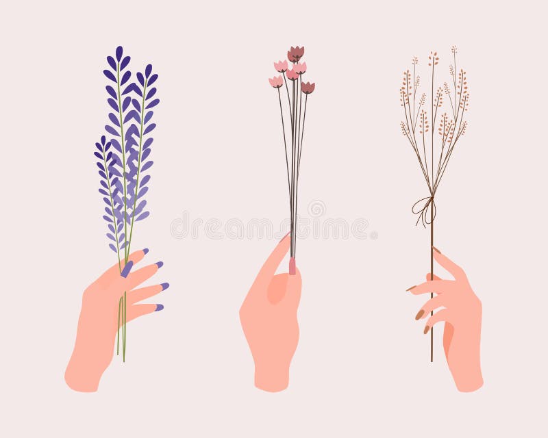 Hand with Flowers Vector Illustration. Bundle of Floral Decorative ...