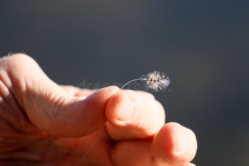Hand with fly fishing hook stock image. Image of hand - 26796025