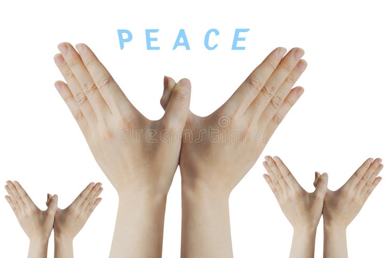 328 Bird Hand Gesture Photos - Free & Royalty-Free Stock Photos from ...