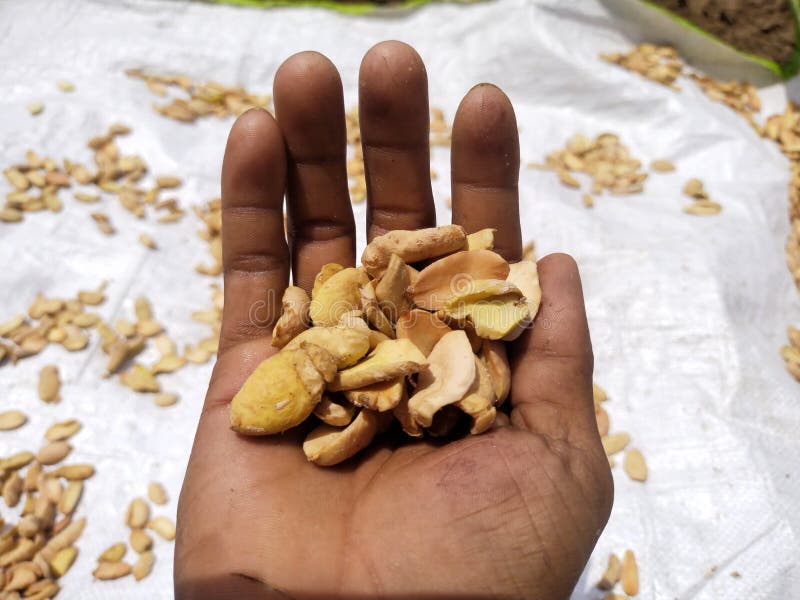 Hand and food stock image. Image of hand, food, dessert - 223482461