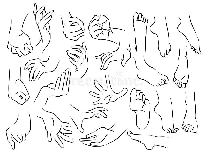 Hand and Foot Sketch and Drawing Black and White Stock Vector ...