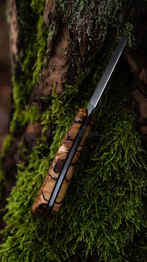 A Knife in a Wooded Setting Stock Photo - Image of wood, plant: 303191832