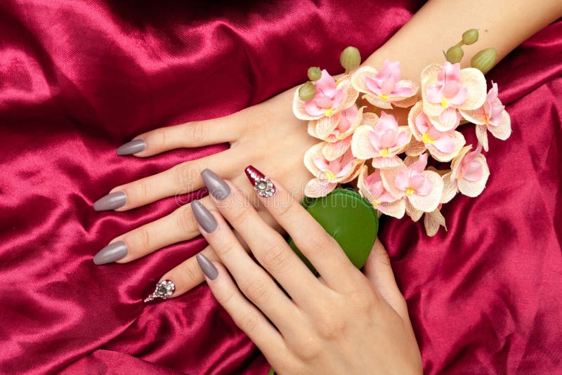 Hand with Long Artificial French Manicured Nails and a Purple Iris ...