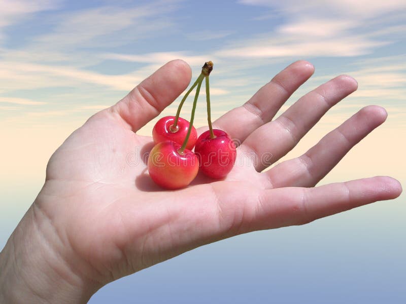 Hand with fruit stock image. Image of handful, nature, sweet - 485715