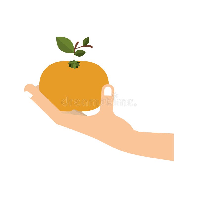 Hand with fruit stock illustration. Illustration of dinner - 85325815