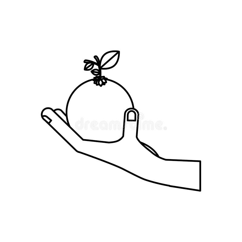 Hand with fruit stock illustration. Illustration of nutritious - 85340498