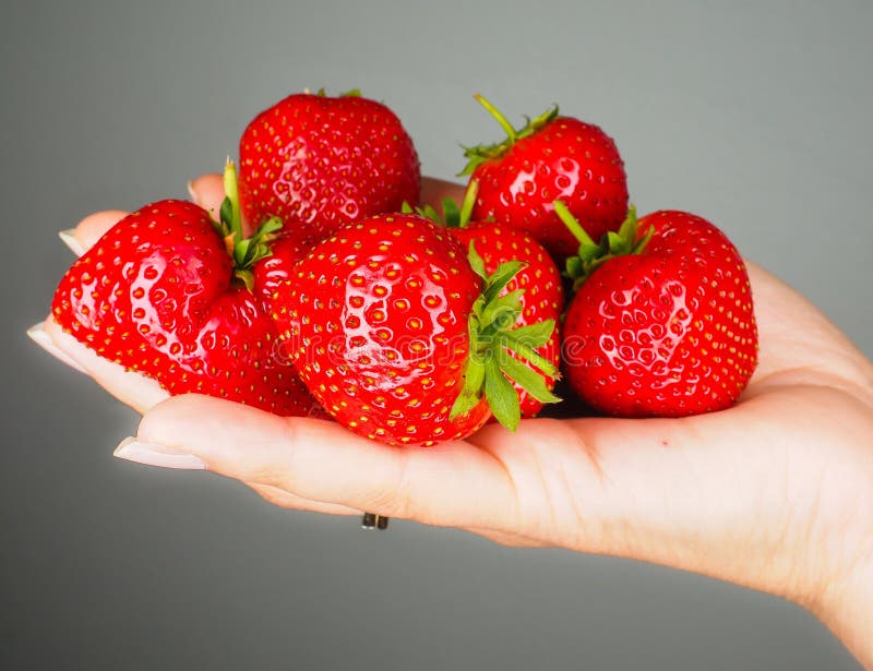 Hand Full of Big Red Fresh Ripe Strawberries Stock Image - Image of ...