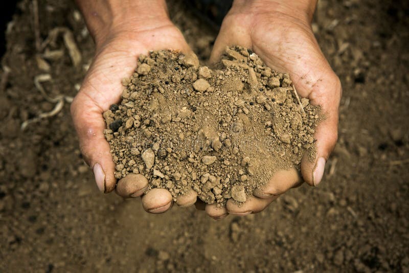 Hand Full of Brown Soil in the Garden Stock Image - Image of grass ...