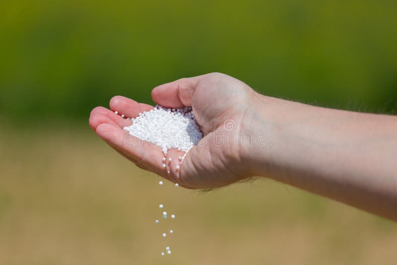 Hand Full of Small Fertilizer Stock Image - Image of grow, horticulture ...