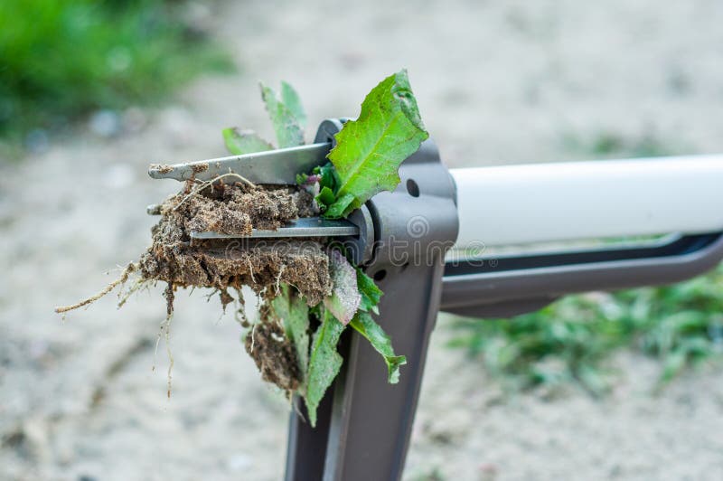 Hand Garden Tools for Easy and Quick Pulling of Weeds with Large Roots ...