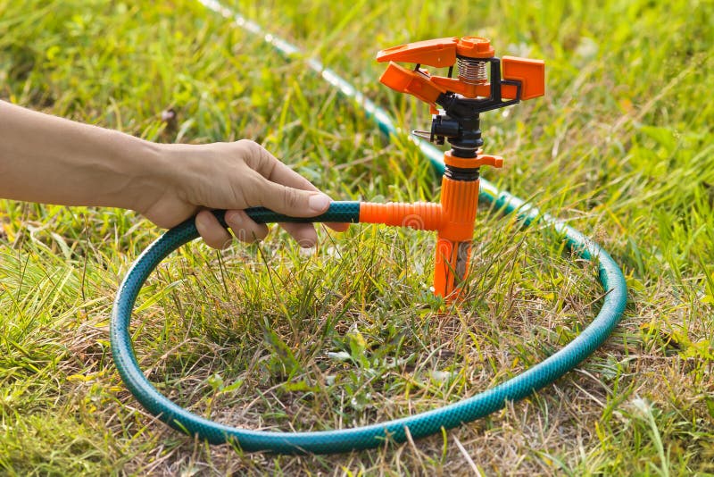 Hand of Gardener Installing Sprinkler for Lawn Irrigation Stock Photo ...