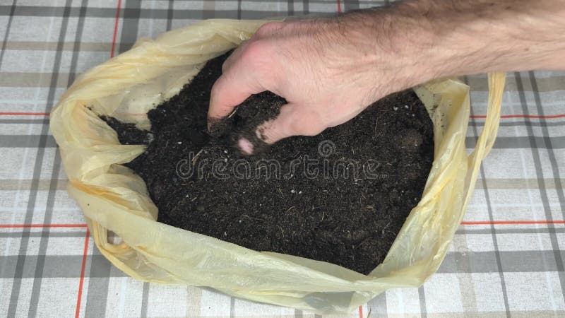A Hand of a Gardner Mixing Potting Soil with Water Stock Video - Video ...