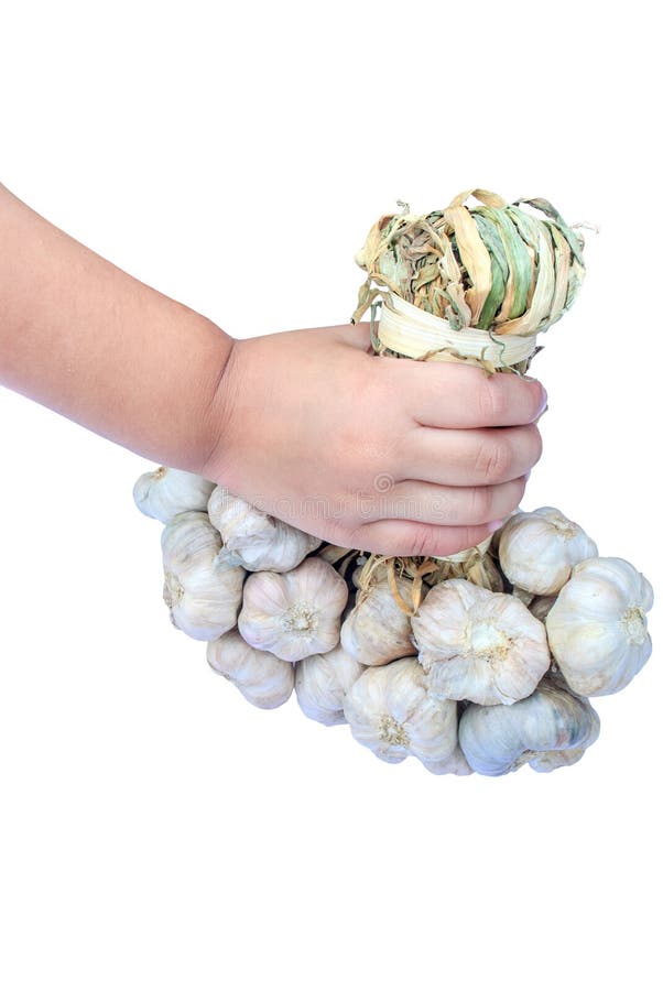 Hand with garlic stock image. Image of ingredients, health - 43391521