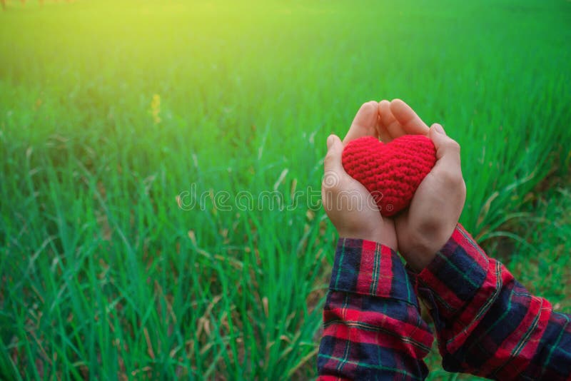 Hand Geben Herzliebe Miteinander Stockbild - Bild von frauen, symbol ...