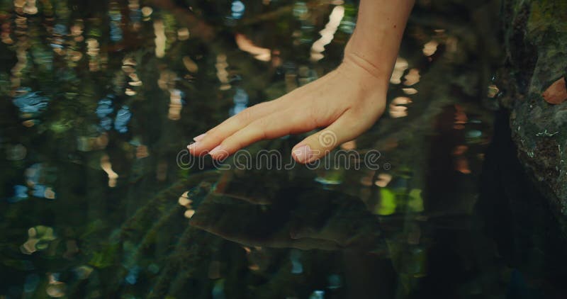 Hand Gently Touching Water Surface in Cenote Pool in Jungle Forest of ...